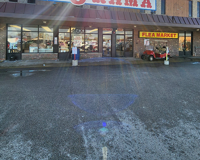 Row upon row of possibilities stretch before you, each booth a doorway to someone else's cherished memories.