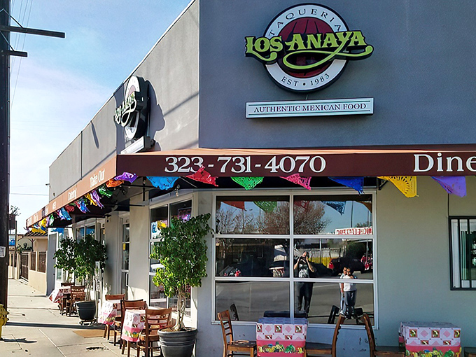 Sometimes the best treasures hide in plain sight, waiting to surprise your taste buds with every single bite.