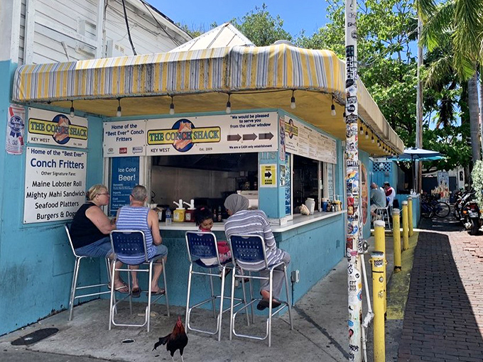 Street food perfection: where tropical flavors meet that unmistakable Keys charm in every golden bite.