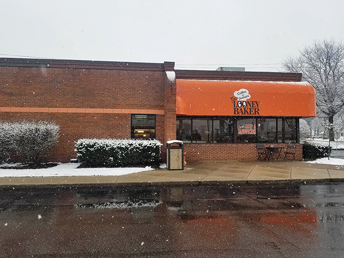 When winter snow meets warm donut shop vibes, you know you've found the perfect antidote to Michigan's chilly mornings.