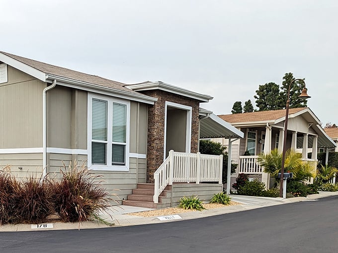 Desert landscaping meets modern comfort - proof that retirement style doesn't require breaking the bank account.