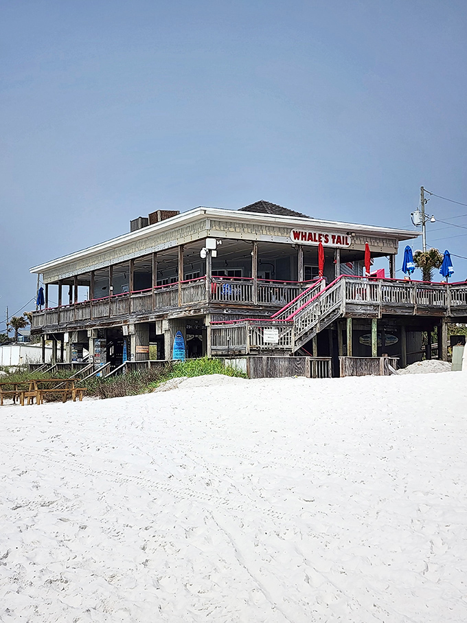 Rustic wooden decks and ocean breezes create the perfect recipe for unforgettable waterfront dining experiences.
