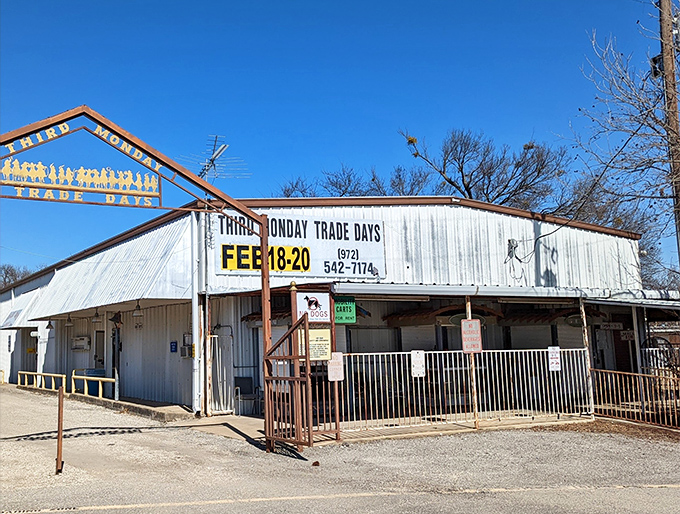 Winter, spring, summer or fall - Third Monday Trade Days stands ready for bargain hunters in all seasons.
