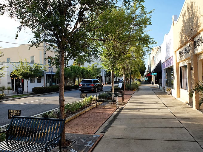 Tree-lined streets and welcoming storefronts make every stroll feel like a pleasant neighborhood discovery.