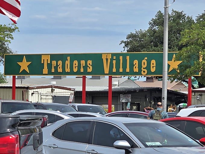 When parking lots fill up like this, you know the deals inside are absolutely worth the crowds.