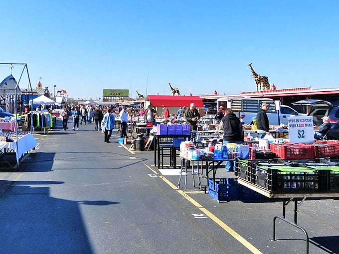 The indoor wonderland of Traders World feels like stepping into a collector's dream. Every aisle promises new discoveries!