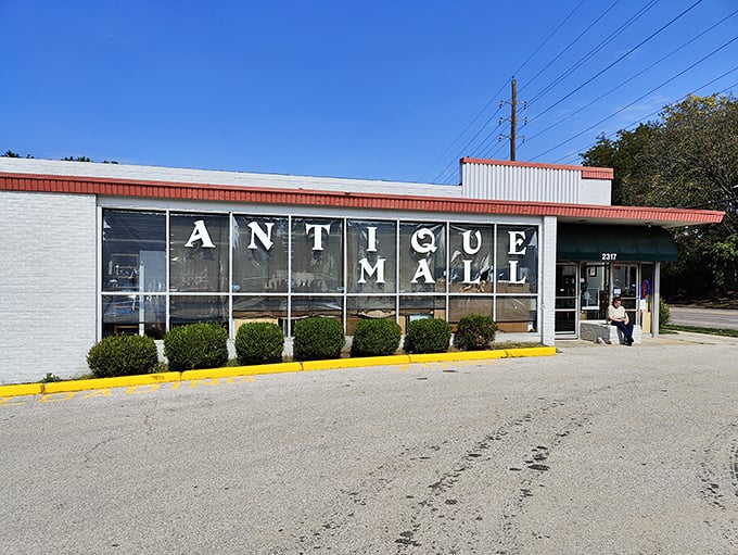 Those big windows are like a sneak peek into a world where yesterday's memories become today's discoveries.