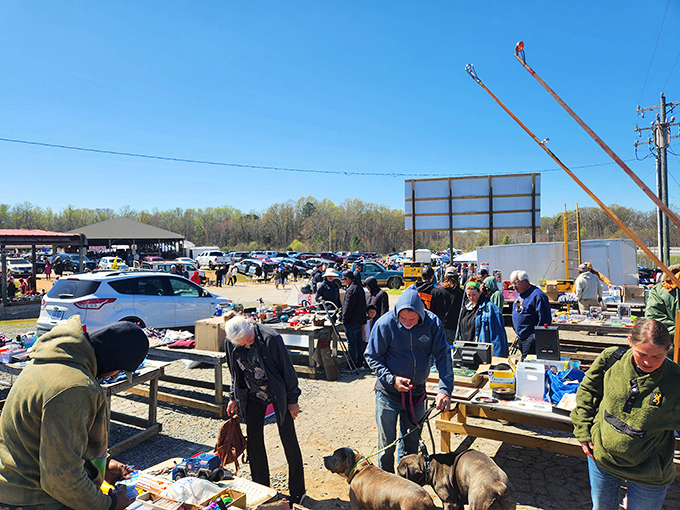 Vendors and visitors create a lively community atmosphere at this popular Salisbury flea market gathering spot.