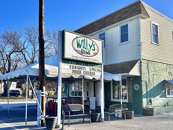 Winter can't dim the charm of Willy's Kitchen. This unassuming gem has probably witnessed more "mmm" sounds than a meditation retreat.