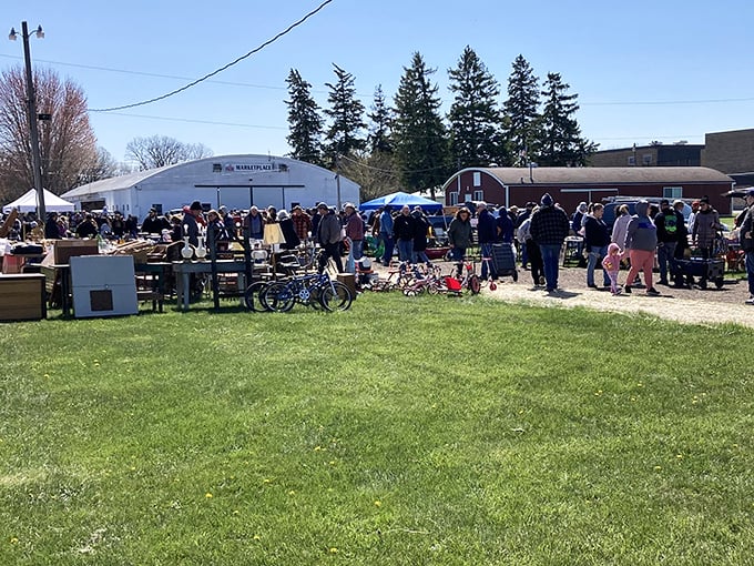 Spring awakening at Wilmot! Shoppers emerge from winter hibernation, ready to haggle over everything from fishing gear to forgotten family heirlooms.
