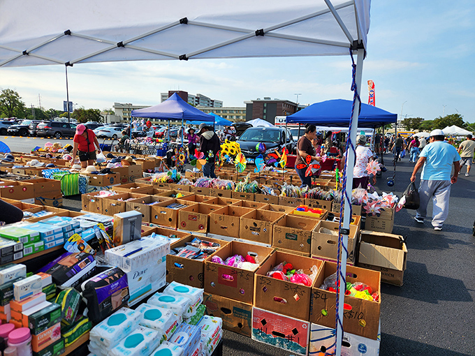 Colorful collections await curious shoppers at Wolff's. Those little trinkets might just be someone's future family heirlooms!