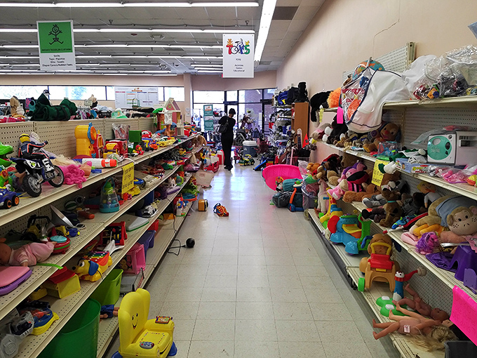 Childhood memories line these shelves like a time capsule you can actually touch. Every aisle offers a chance to reclaim a piece of nostalgia.