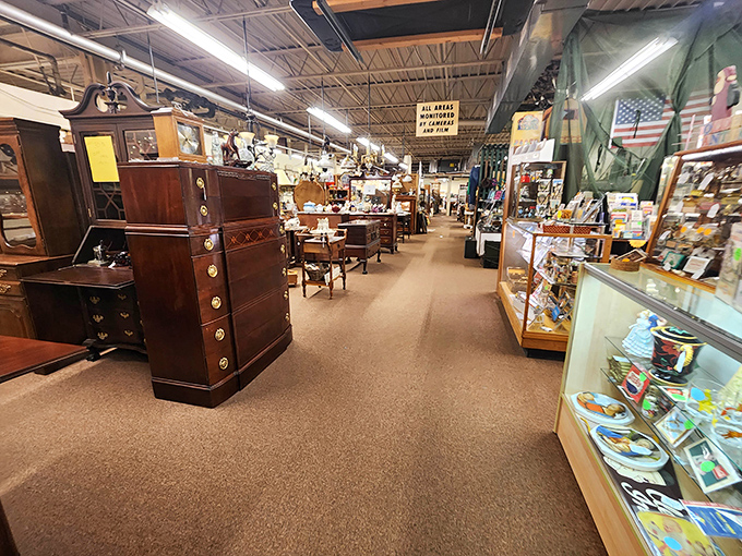 Aisle after aisle of carefully curated chaos. Like the Library of Congress, but with more quirky salt shakers and fewer card catalogs.