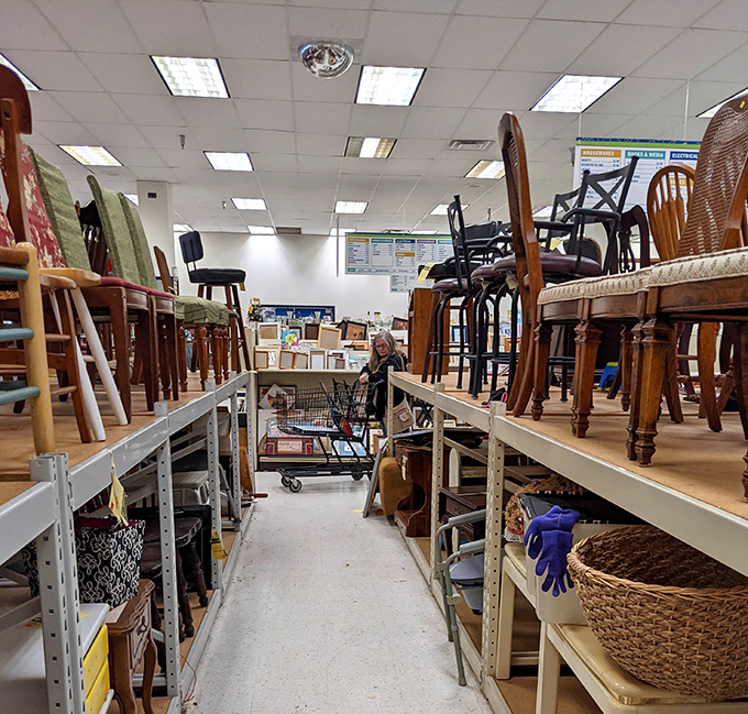 Furniture heaven awaits! Wooden chairs perch like birds on display shelves, each with stories to tell and homes to furnish.