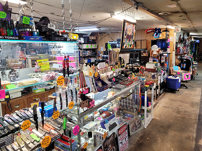 Navigating these aisles feels like reading the autobiography of America through its discarded treasures. Every shelf tells a story.