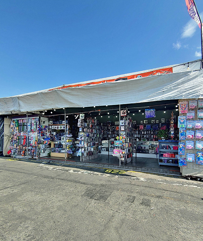 A vendor's stall packed with phone accessories and collectibles. One person's random stuff is another's can't-live-without necessity.