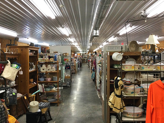 Long, inviting aisles that seem to stretch into infinity, each one promising discoveries that could make your day&mdash;or complete a collection decades in the making.