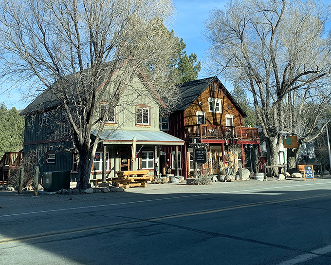 The Alpine Hotel and Markleeville General Store stand as colorful sentinels of mountain charm, where rustic meets functional in perfect harmony.