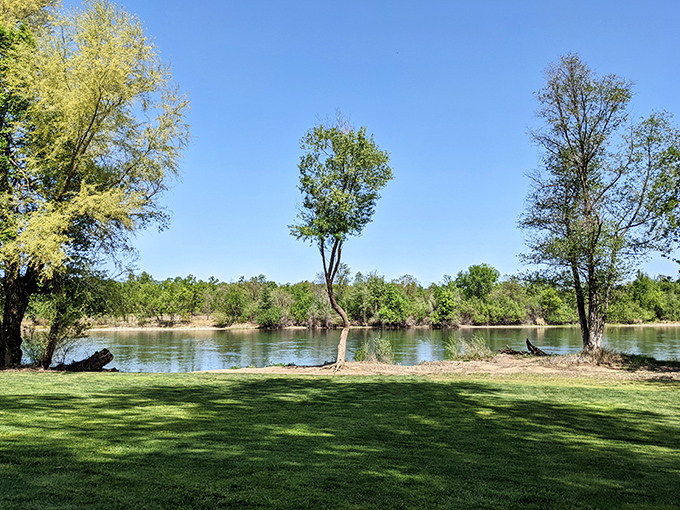 The Sacramento River winds through Anderson River Park, offering peaceful moments where the only notification you'll get is from a curious duck.