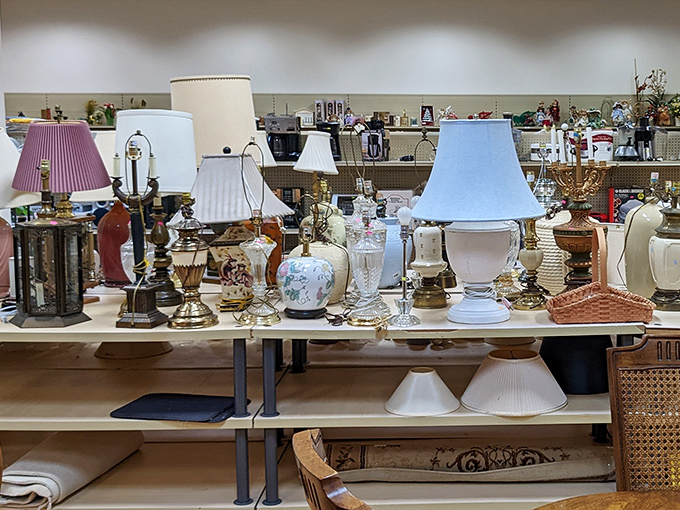 Lamp paradise! Each one tells a different story, from "grandma's living room" to "1970s bachelor pad" and everything in between.