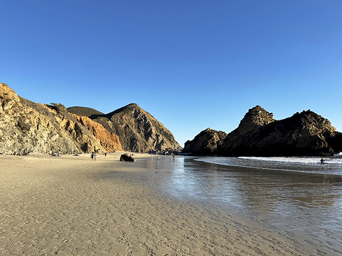 Where land meets sea: Pfeiffer's expansive shoreline invites contemplative walks and offers a front-row seat to nature's grandest show.