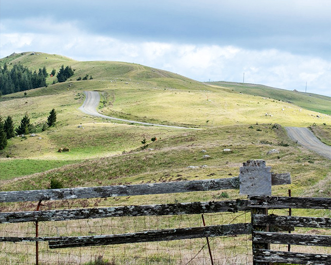 Rolling hills and winding roads that make Sunday drives feel like meditation with better scenery and no subscription fees.