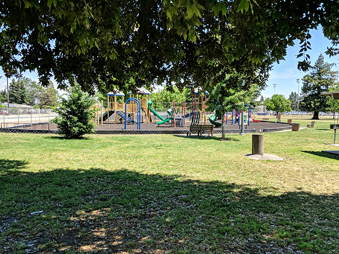 A playground where kids can actually be kids, not tiny humans tethered to screens or overscheduled activities.