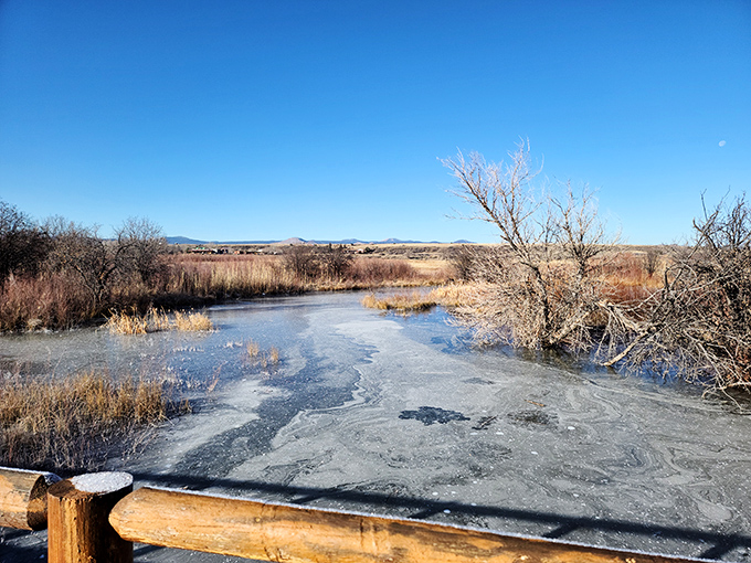 Winter transforms the Little Colorado River wetlands into a serene landscape where time slows down and nature's quiet beauty takes center stage.