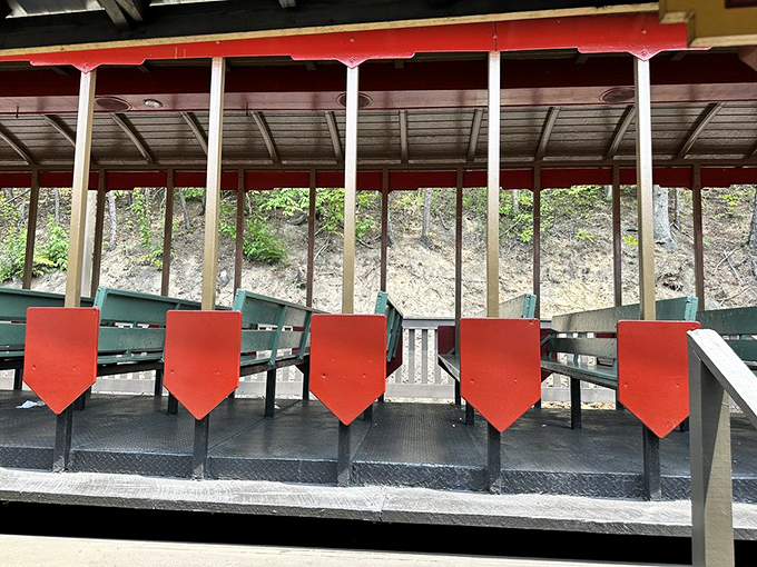 These charming red-trimmed benches aren't just seating—they're time machines where you'll perch as Tennessee's rolling hills and dense forests transport you to a simpler era.