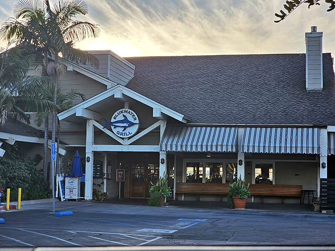 Bluewater Grill stands as a coastal sentinel, promising seafood so fresh it practically introduces itself by name.