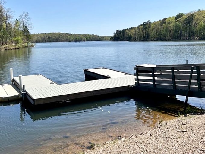 Simplicity at its finest: a wooden dock inviting you to sit, dangle your feet, and remember what relaxation felt like before smartphones demanded our constant attention.