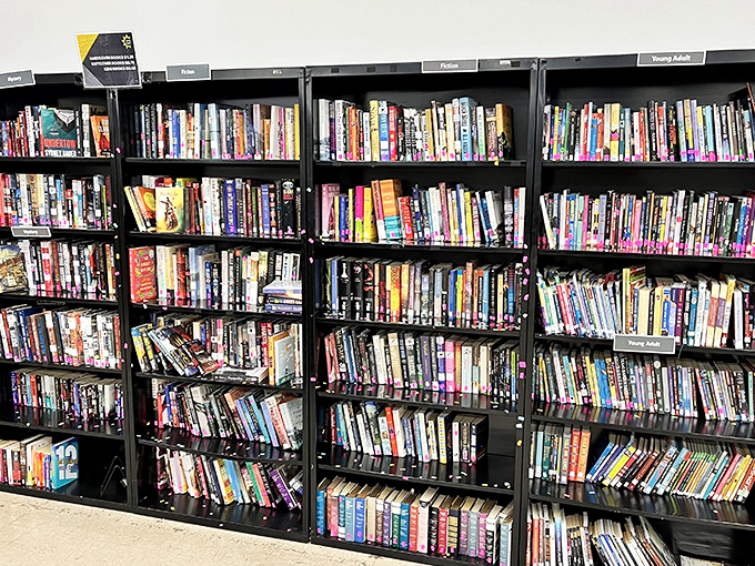 The book section rivals small-town libraries, offering literary journeys for pocket change. Who needs a Kindle when paperbacks are practically free?