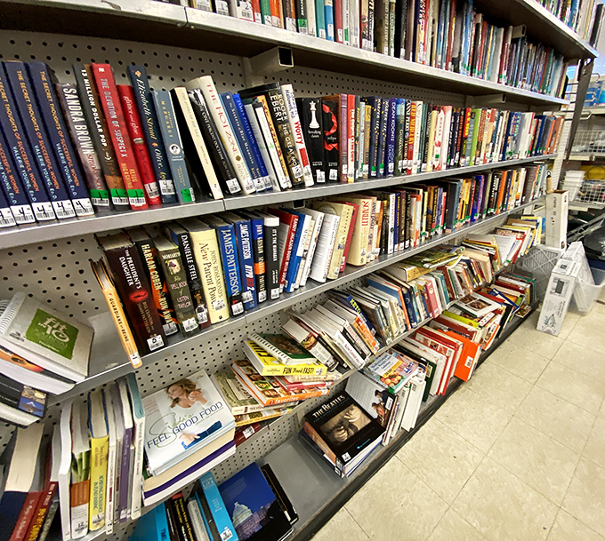 The book section rivals small-town libraries, offering literary journeys for pocket change. From bestsellers to obscure gems, every spine tells two stories.