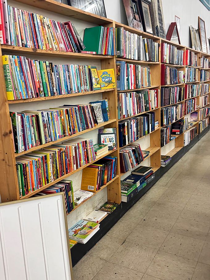 Bibliophiles rejoice! These wooden shelves hold literary adventures at pocket-change prices. Your summer reading list just got a whole lot more affordable.