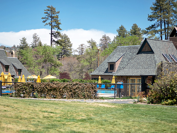 Rustic luxury awaits at Lake Arrowhead's lodges, where swimming pools and pine trees create that rare "wilderness with amenities" experience we all secretly crave.