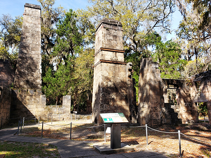 History stands defiant against time. These coquina stone ruins whisper tales of Florida's plantation era, now reclaimed by the wilderness they once displaced.