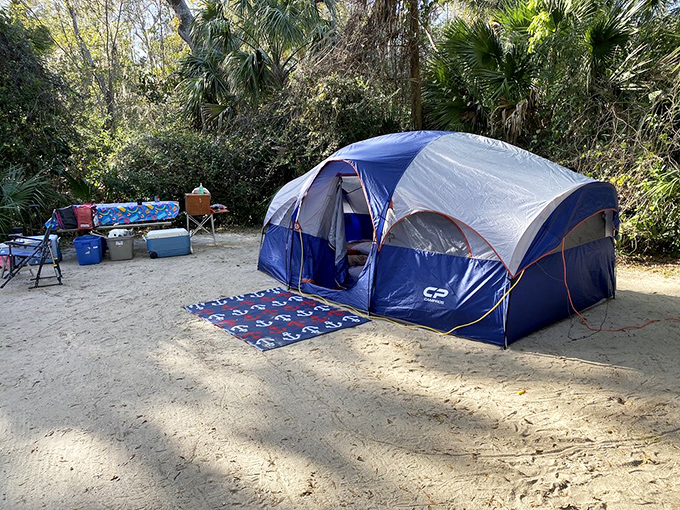 Camping nirvana: where your morning alarm is birdsong and your ceiling is a canopy of stars. No resort concierge can match this.