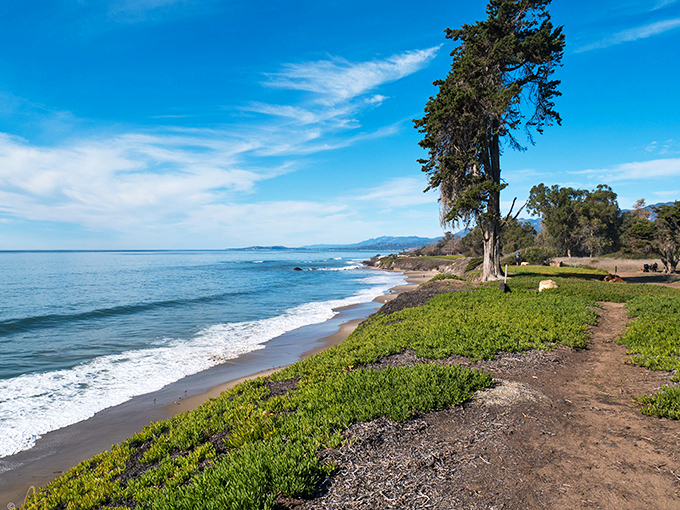 Mother Nature's finest work: where crystalline waves meet golden shores under a sky so blue it seems digitally enhanced.