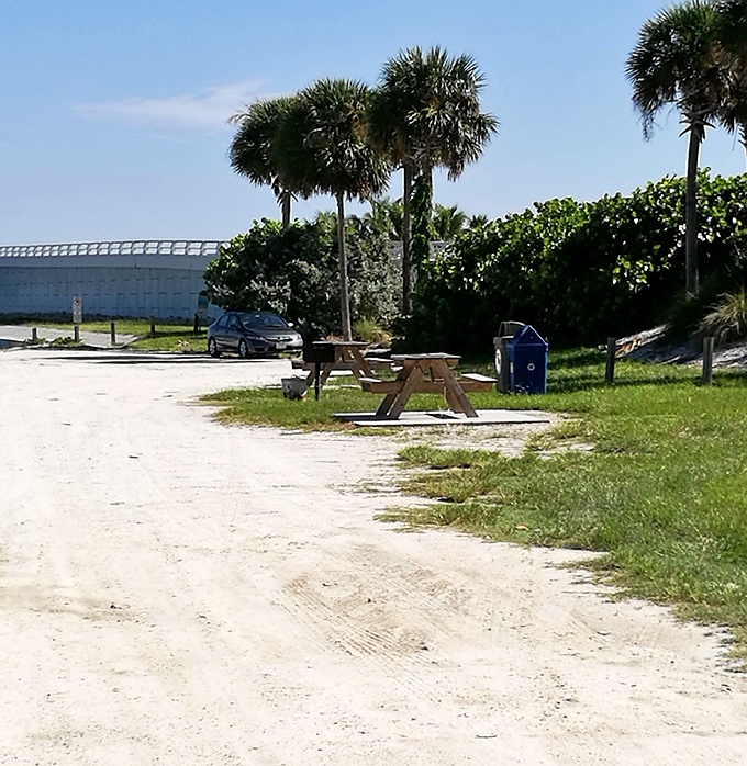 The humble picnic table: Sanibel's version of five-star dining with a billion-dollar Gulf view that no restaurant reservation could ever match.