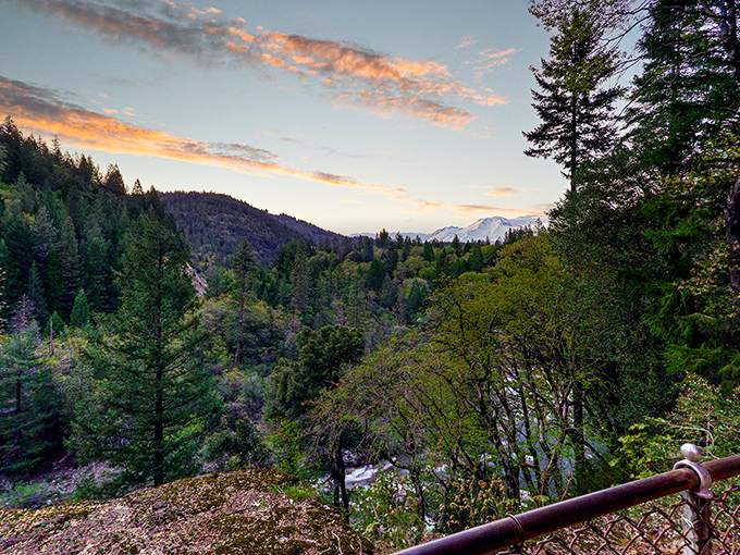 Mother Nature showing off again! Mount Shasta's majesty frames the forest view, offering daily doses of awe that cost absolutely nothing.