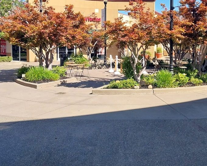 A peaceful courtyard oasis where weary shoppers can rest their feet and contemplate their next retail conquest among Japanese maples and wrought iron seating.