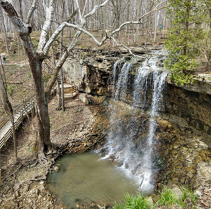 Charleston Falls cascades through limestone cliffs, proving Ohio's natural beauty rivals any postcard destination.