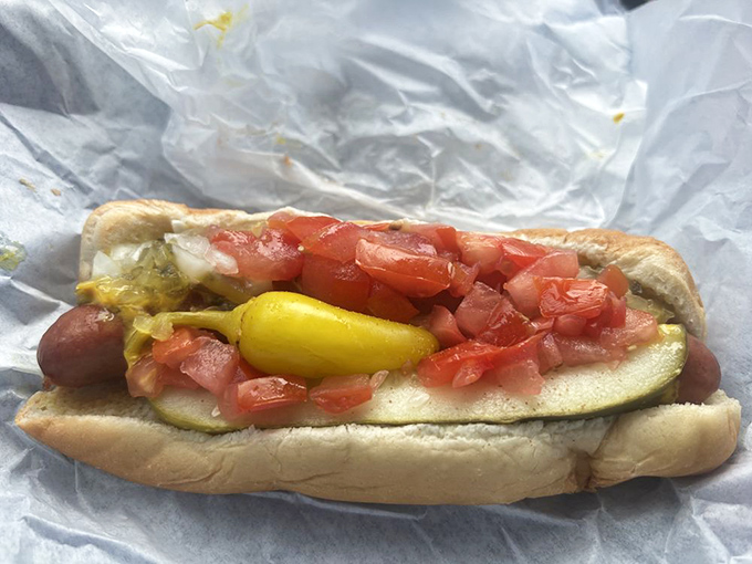 The Chicago Dog in all its fresh-topped glory. That pickle spear isn't just a garnish&mdash;it's making a statement about your excellent life choices.