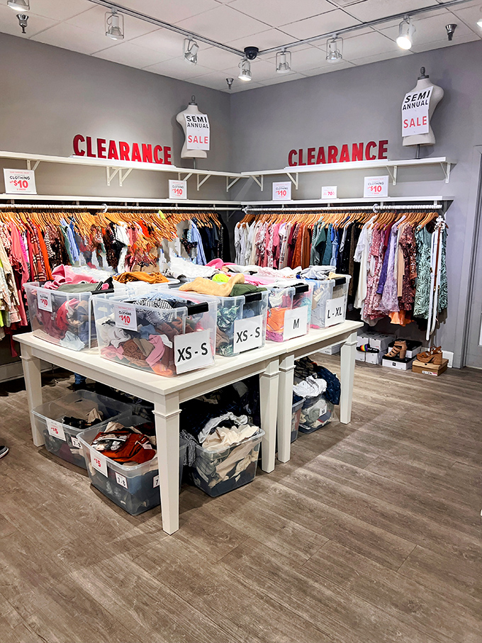 The clearance section: where organization meets opportunity. Those plastic bins are like treasure chests for the savvy shopper who isn't afraid to dig.