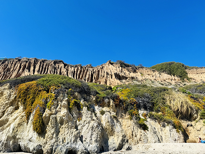 Mother Nature's artistry on full display. These wind and water-carved cliffs tell geological stories spanning millennia, with wildflowers providing splashes of color.