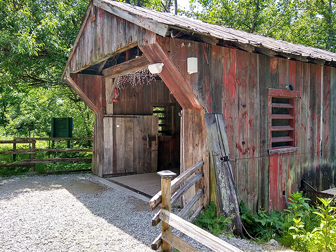 This weathered wooden structure tells stories of bygone days, its rustic charm a perfect gateway to Clifton's historical treasures.