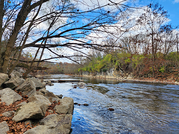 Nature's symphony in blue and brown. The Clinch River dances over rocks with the casual confidence of a stream that knows its own beauty.