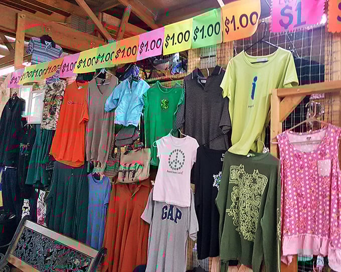 Dollar deals hang like colorful promises. In an age of fast fashion and disposable clothing, these racks offer both bargains and the thrill of the hunt.