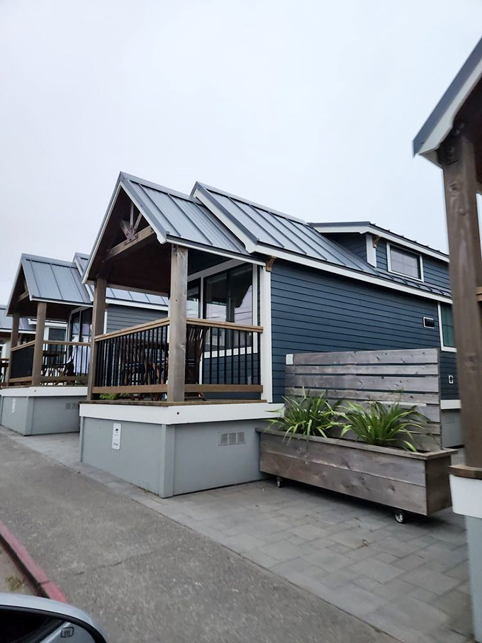 These modern coastal cottages aren't just accommodations; they're front-row tickets to the Pacific's daily performance of waves, wind, and wonder.