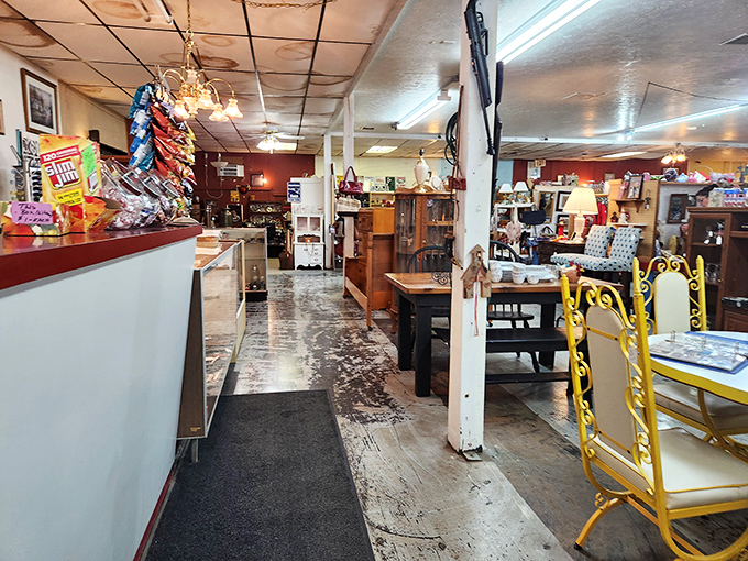 Every aisle tells a different story. This corridor might lead to your next conversation piece or the vintage lamp that completes your reading nook.